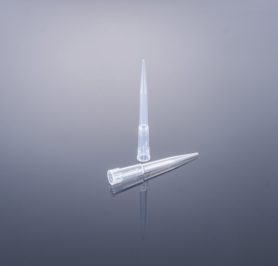 佰思迪（杭州）科技有限公司